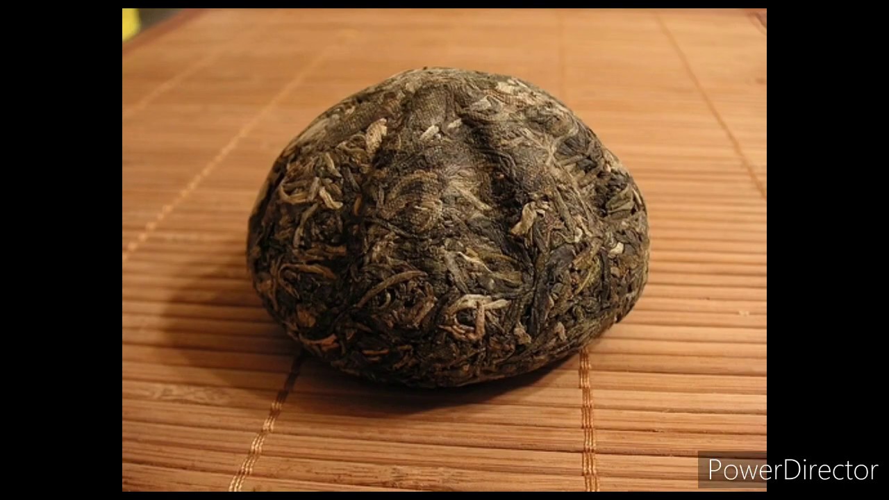 The Tea Pod Episode #1: What is Tea? - YouTube