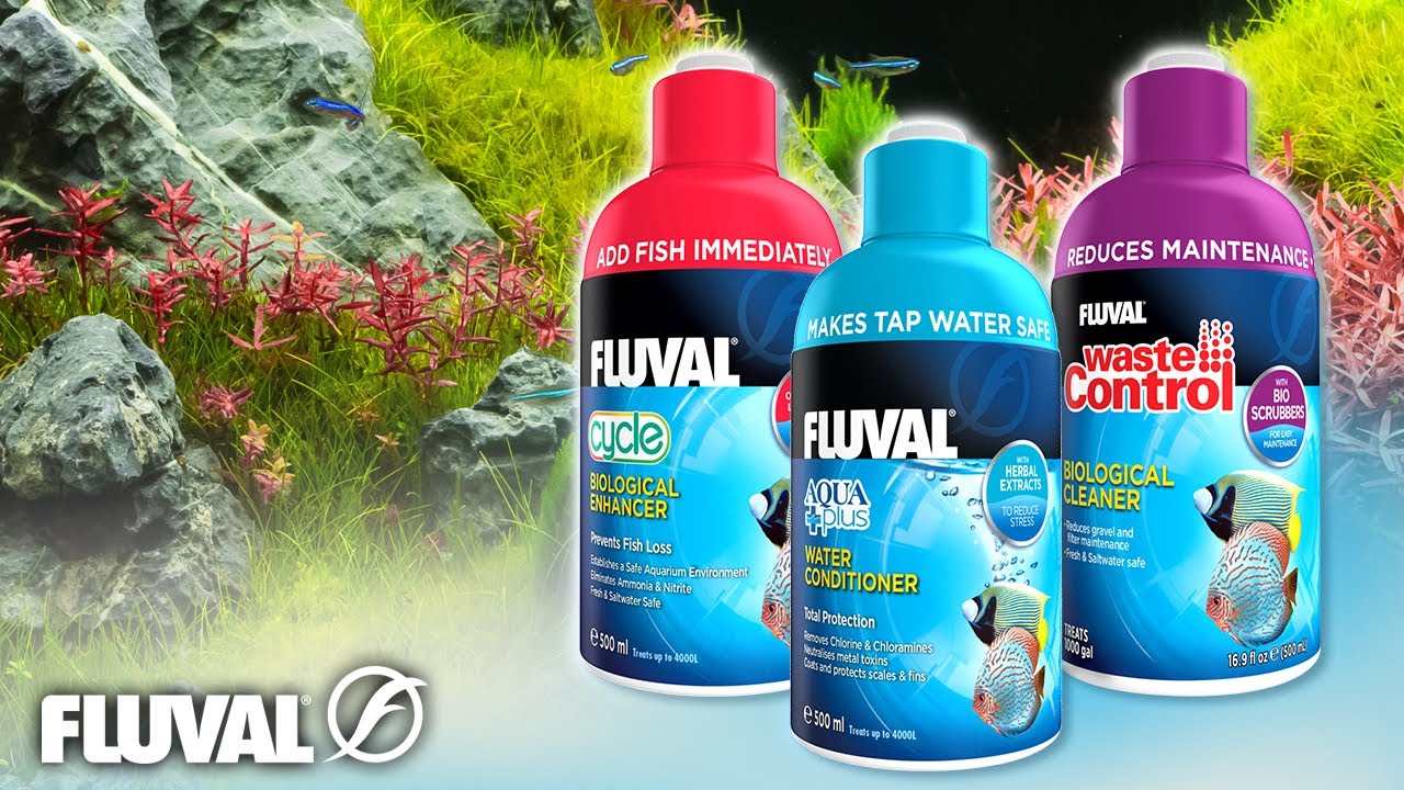 A WELL BALANCED TEAM | Fluval Water Care - YouTube