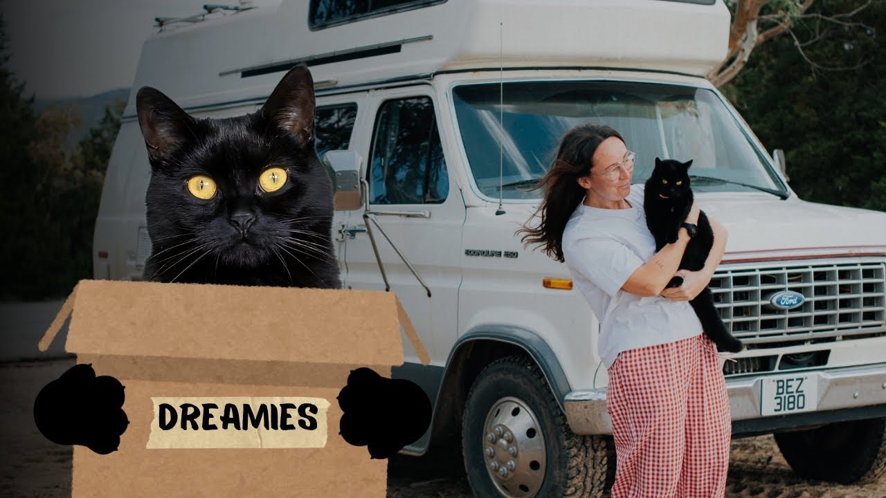 We introduce our indoor cat to our American RV for the first time ...