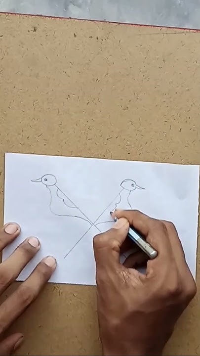 How To Draw A Parrot From X How To Draw A Parrot Easy For Beginners Shorts Shortvideo