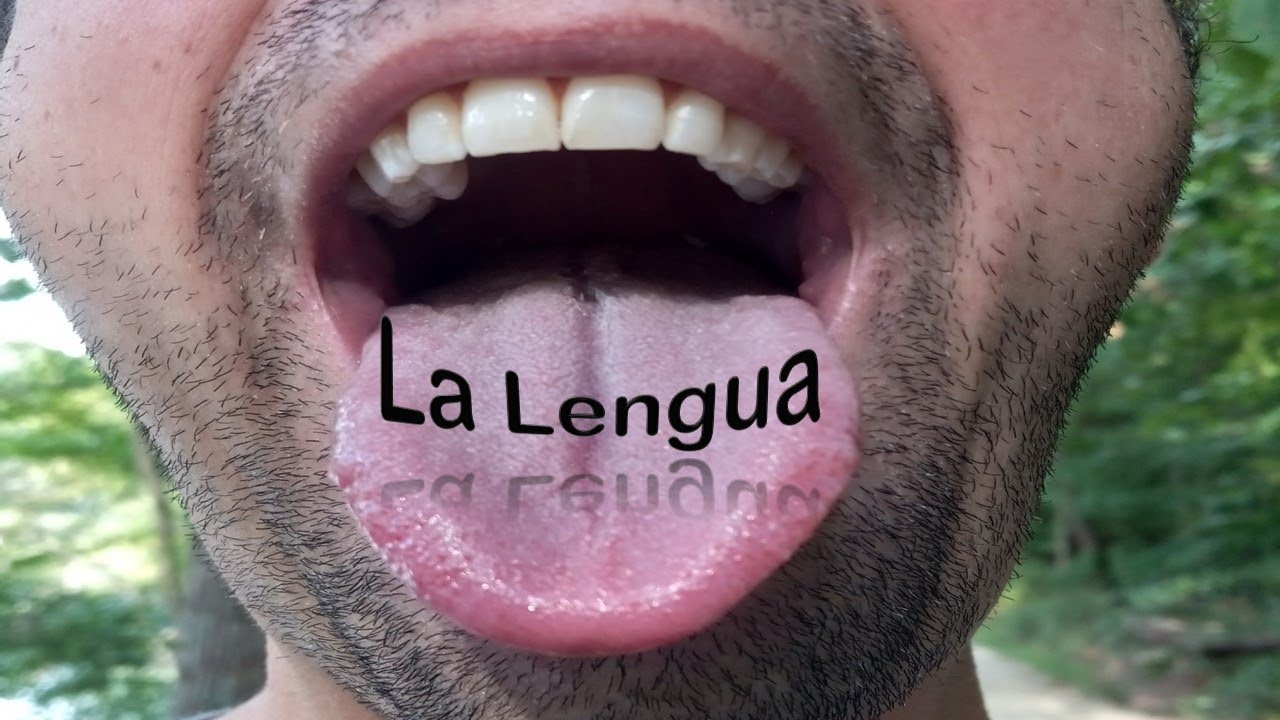 La Lengua - YouTube