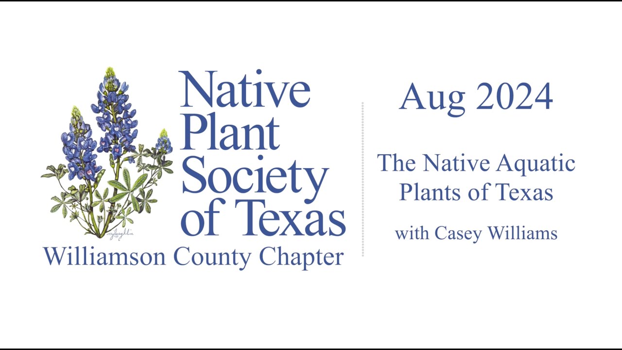 Aug 2024: The Native Aquatic Plants of Texas w/Casey Williams - YouTube
