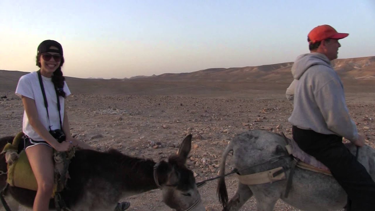 Israel Camel Ride - YouTube