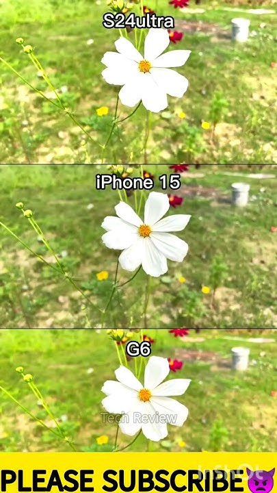 S24 Ultra🆚 iphone 15🆚G6-Camera Comparison!!👿😇@Apple#shorts#shortsfeed#shortvideo - YouTube