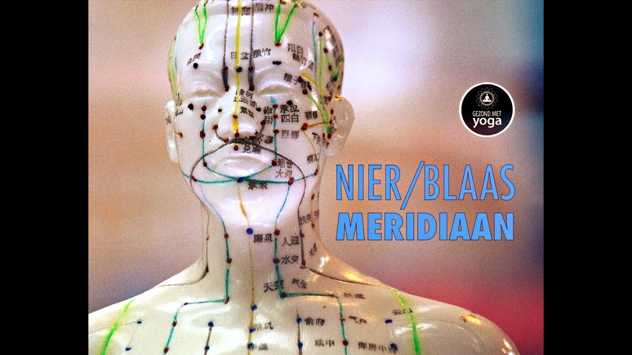 NIER BLAAS MERIDIAAN YOGAOEFENINGEN MET SIMPELE QIGONG BEWEGINGEN VOOR ...