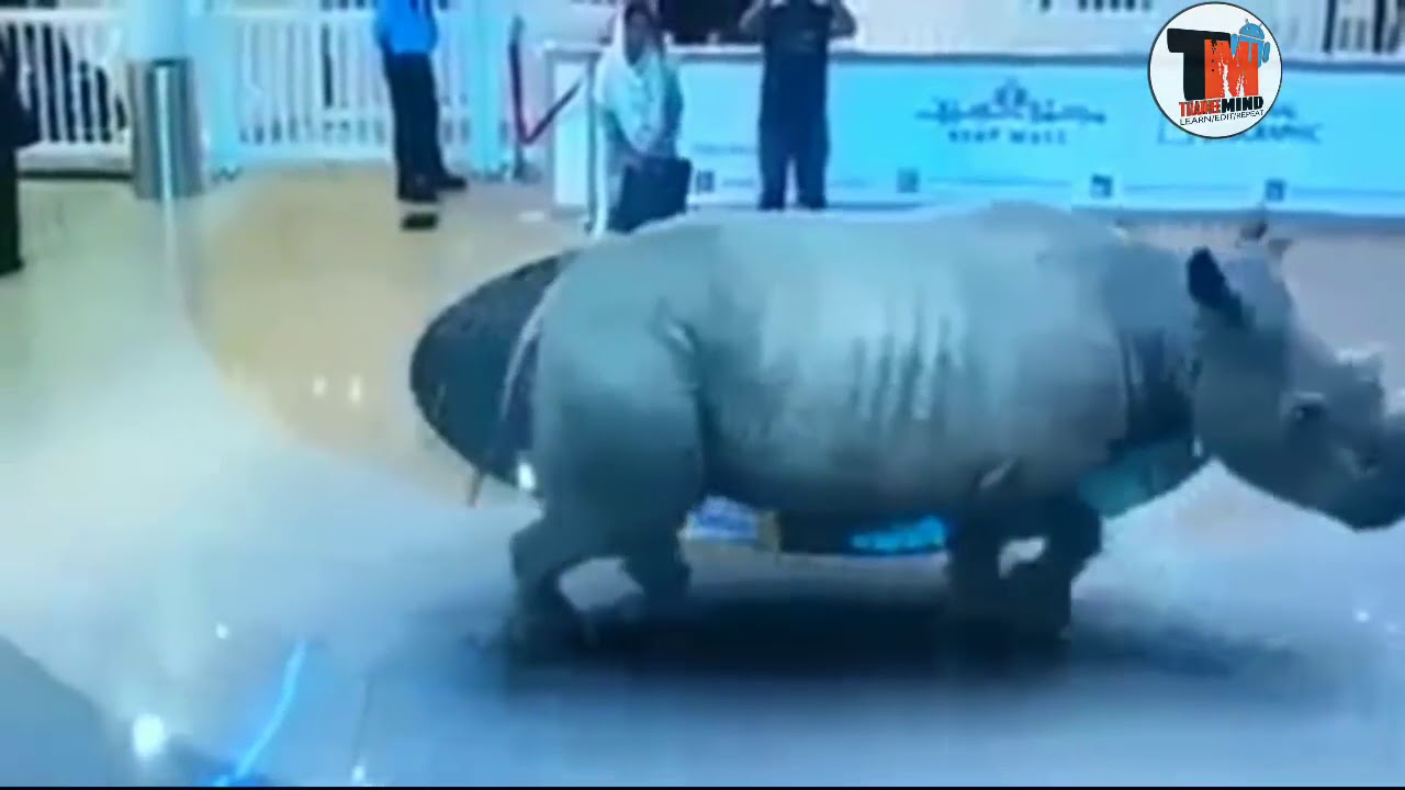 7D hologram technology must watch - YouTube