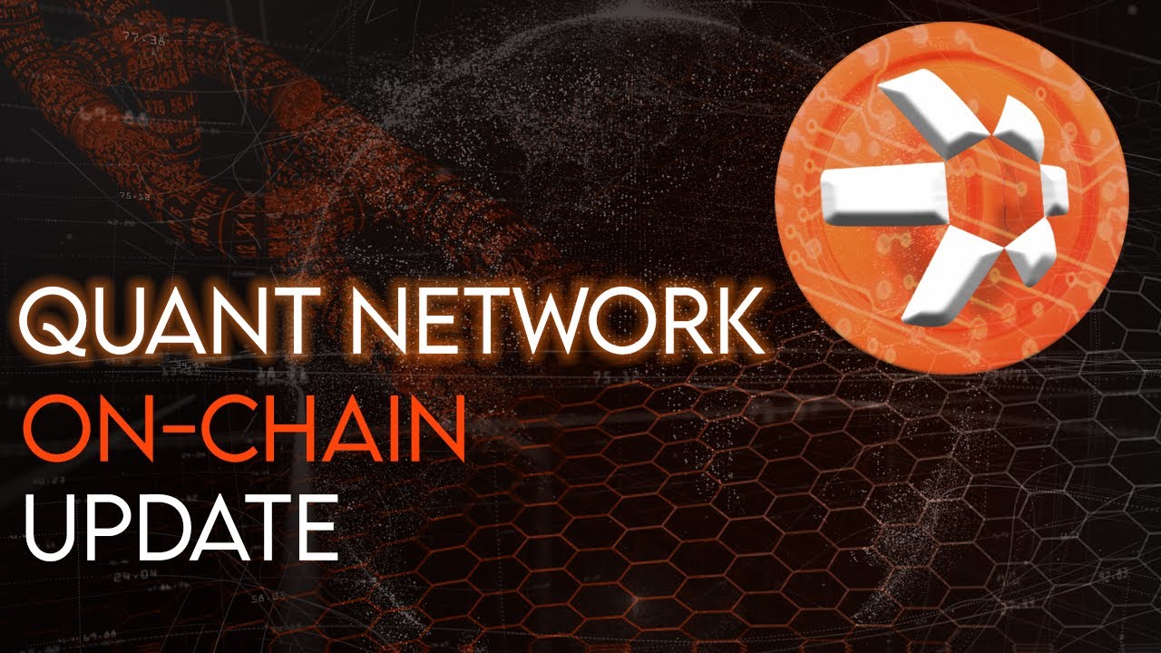 On-Chain Transaction Update on Quant Network (QNT) Token. HUGE Whale ...