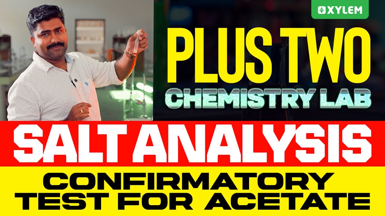 Plus Two Chemistry Lab | Salt Analysis - Confirmatory Test For Acetate ...