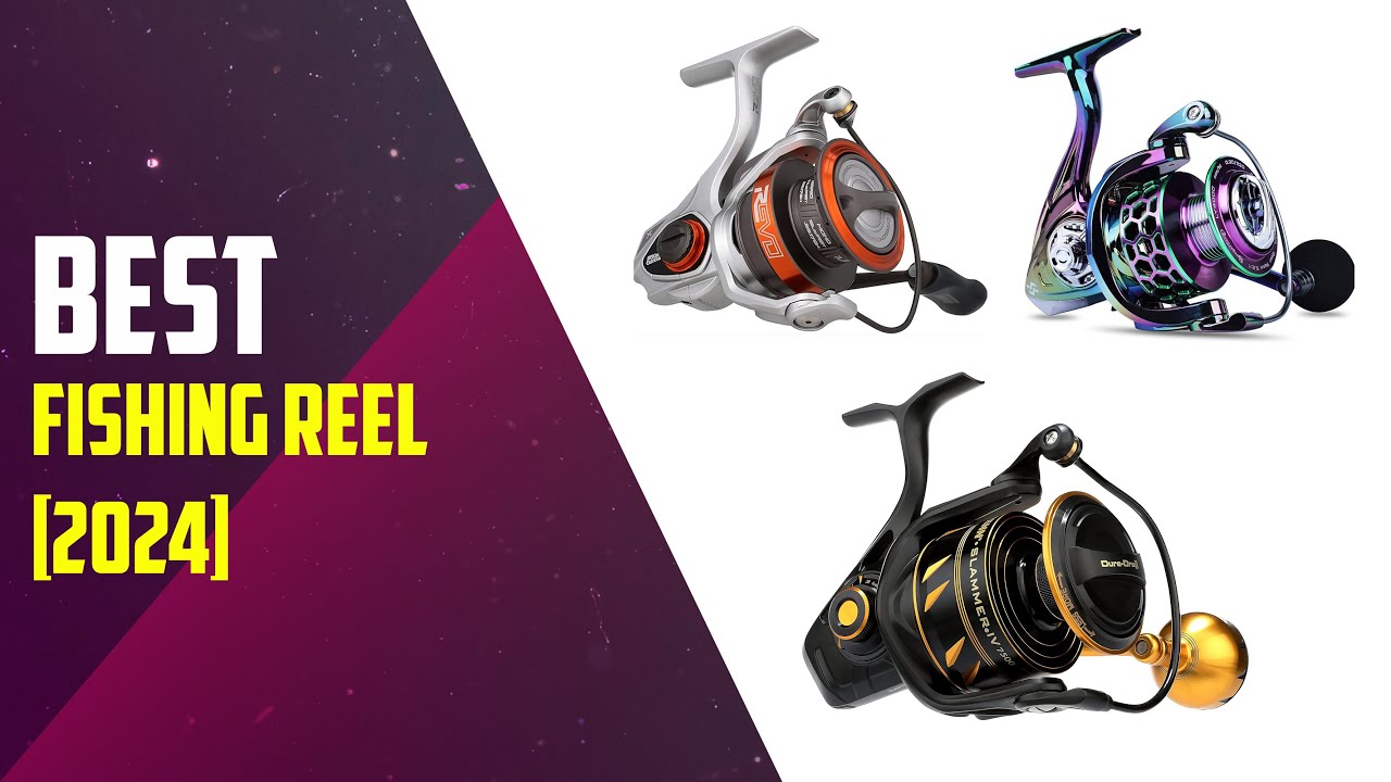 Best fishing reel 2024 | fishing | spinning reels review | 2024 ...