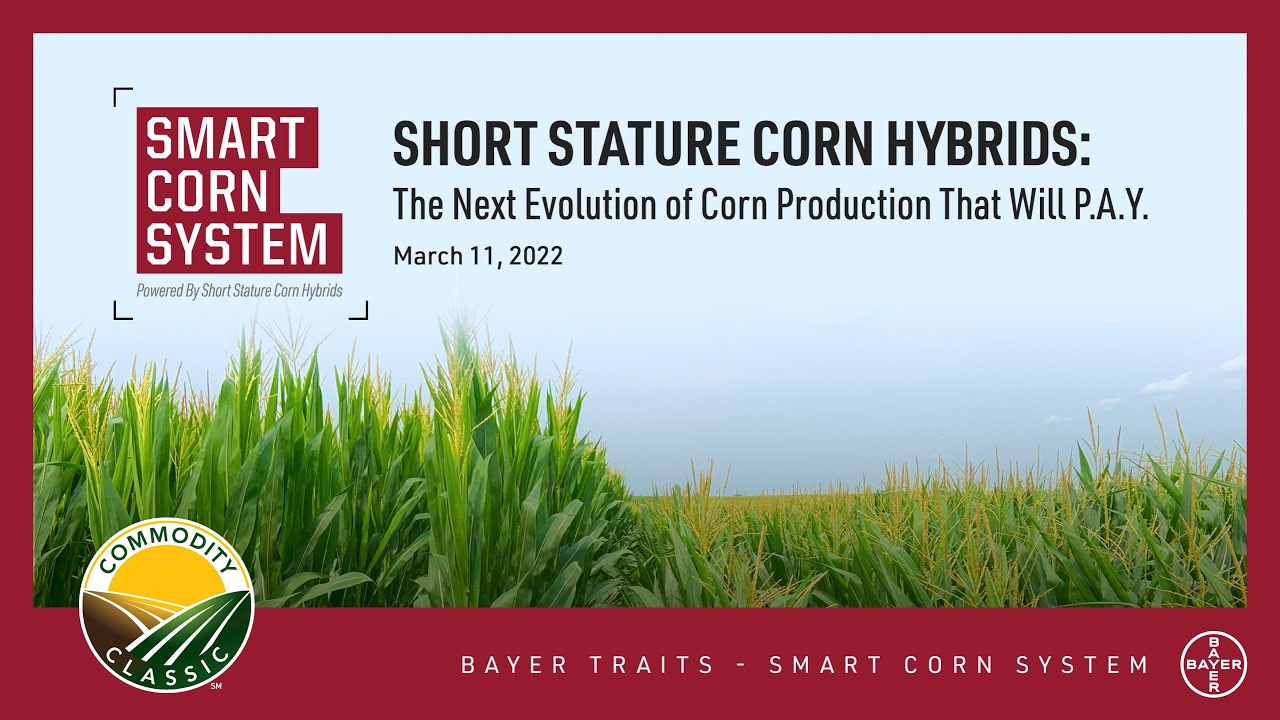 WIN Commodity Classic discusses Bayer Traits Smart Corn System - YouTube