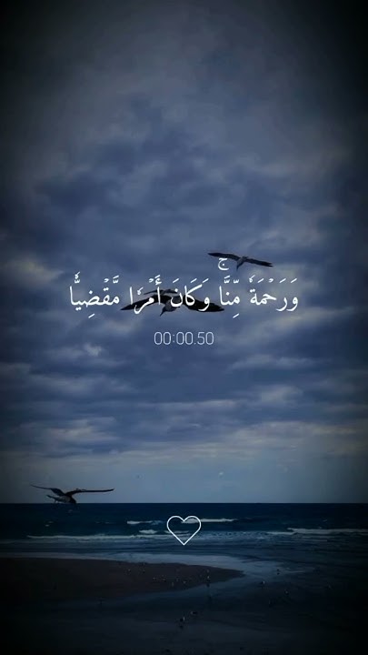 قَالَتۡ أَنَّىٰ يَكُونُ لِي غُلَٰمٞ وَلَمۡ يَمۡسَسۡنِي بَشَرٞ 🖤🦋 Youtube