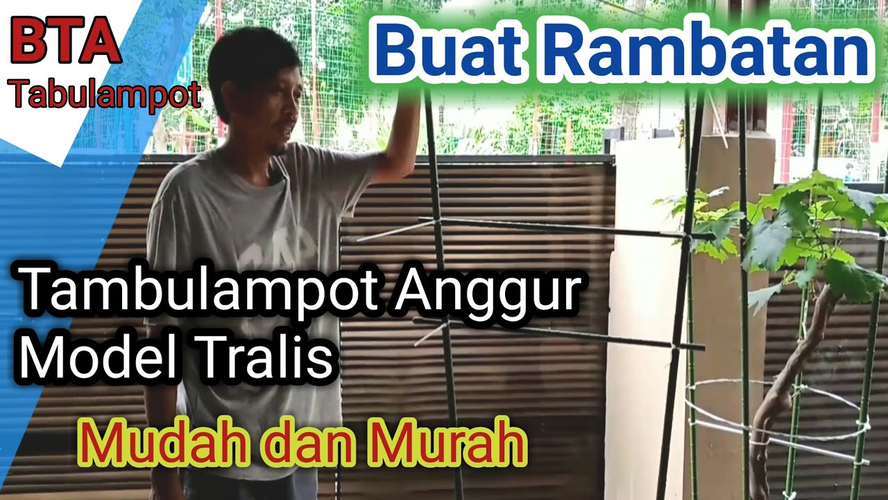 cara membuat rambatan anggur - YouTube