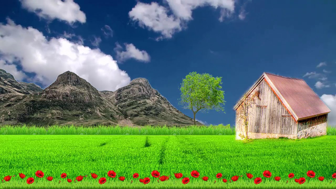 Best nature back ground video no copyright | mix back ground with ...