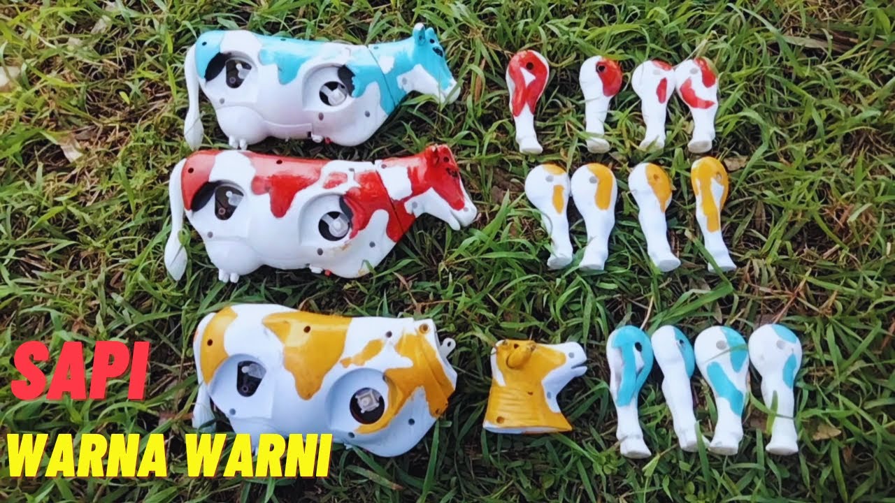 Menemukan Mainan Sapi, Merakit Kaki Sapi, Sapi Warna Warni - YouTube