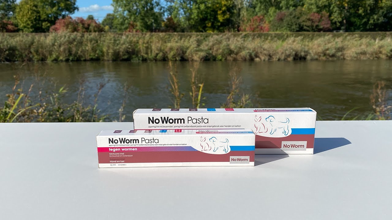 No Worm Pasta - YouTube