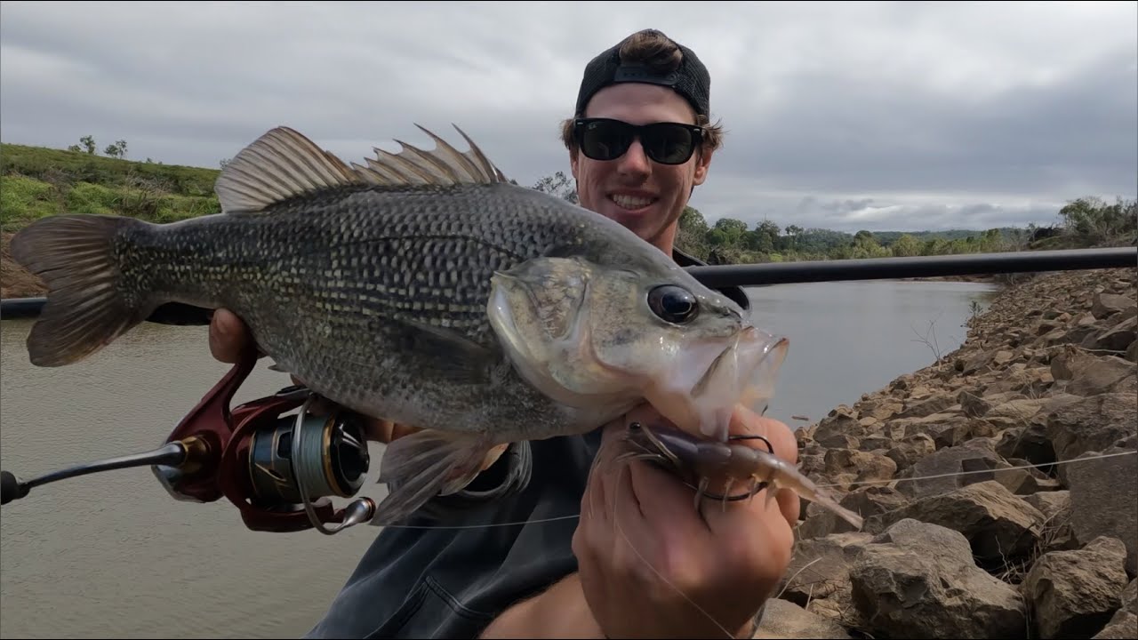 Realistic shrimp lure - australian bass fishing MARY RIVER - YouTube