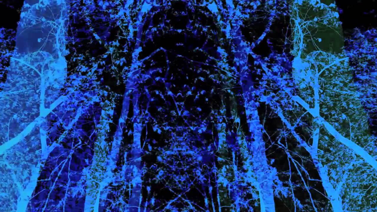 Intersecting Lines In Nature