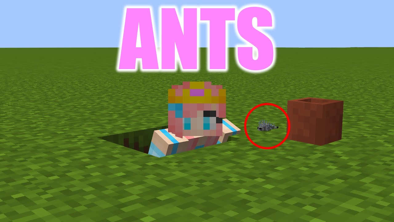 Somewhat Adding Ants Into Minecraft With Only Command Blocks - YouTube