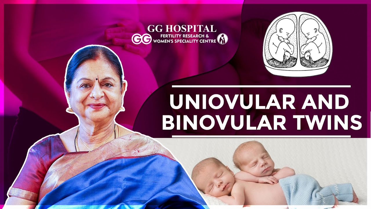 what Is Uniovular And Binovular Twins - YouTube
