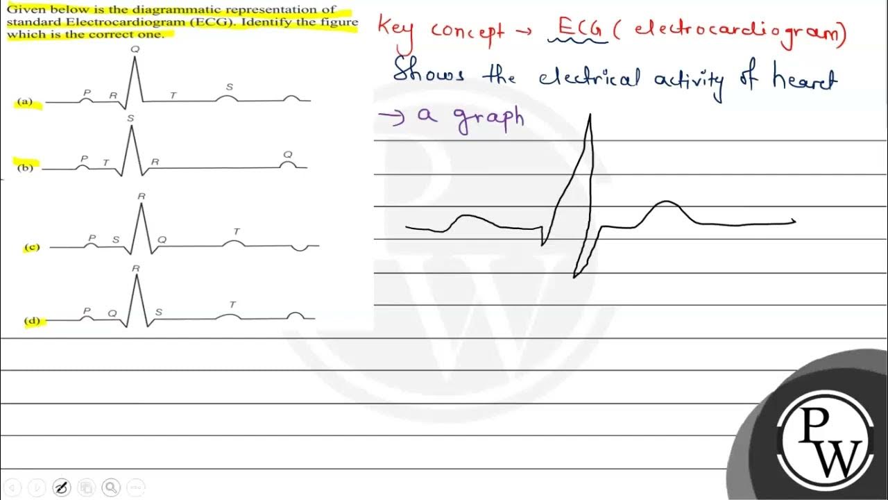 Given below is the diagrammatic representation of standard ...