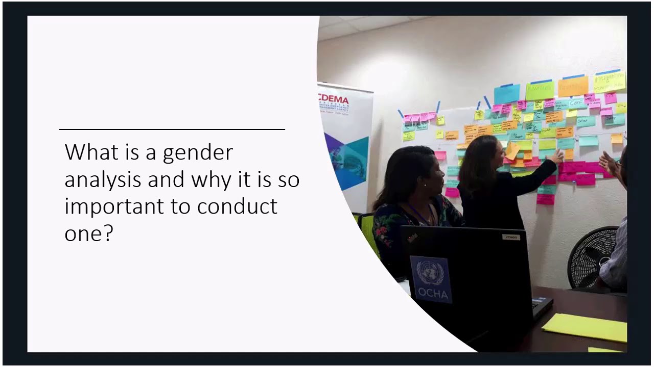 Webinar | Data analysis with a gender lens - YouTube