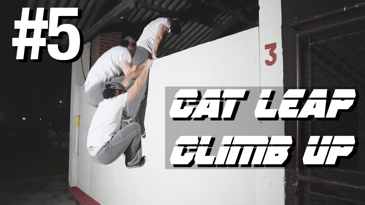 Tutorial #5 - Cat Leap/ Climb Up - YouTube