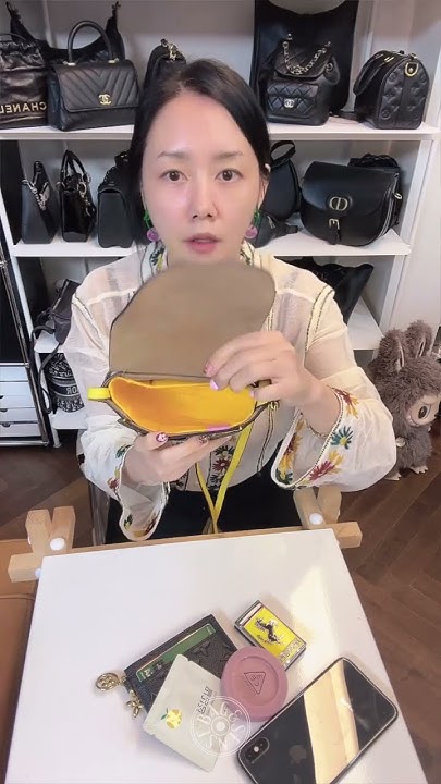 로에베 게이트 미니 백앤센스 이너백 리뷰 #백앤센스 #bag #로에베 #로에베이너백 #이너백 #bagandsense #bagorganizer #unboxing - YouTube