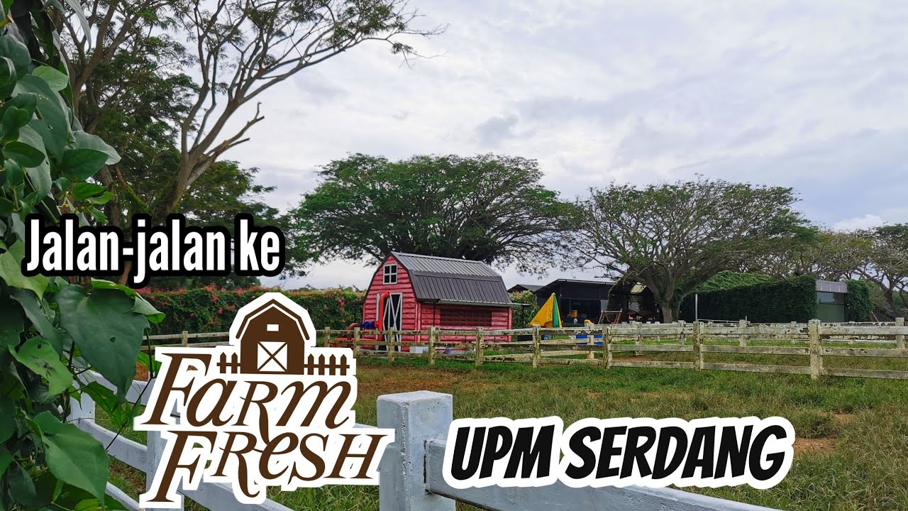 Jalan-jalan ke Farm Fresh UPM Serdang - YouTube