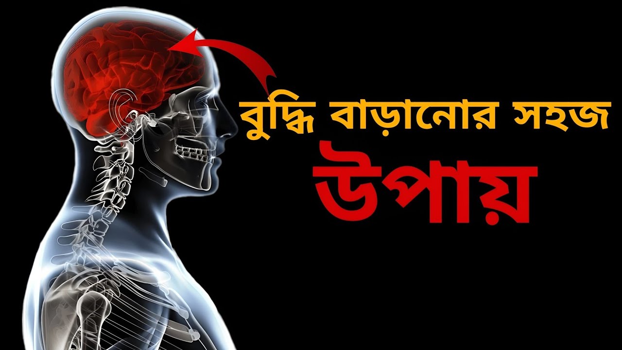 How To Increase Your Brain Power | Tips To Improve Mental Power ...