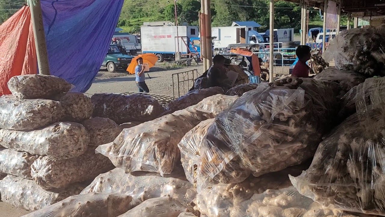 NVAT Nueva Vizcaya Agricultural Terminal (Part 1), Bambang, Nueva ...
