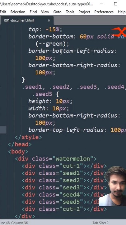 Watermelon Html Css Coding Css Html Css3 Html5 Htmlcss 0930