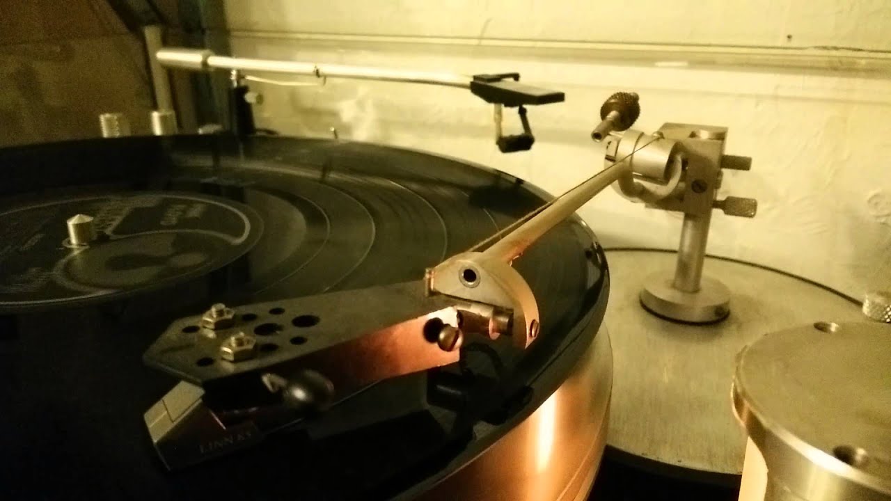 transcriptor vestigal arm working - YouTube