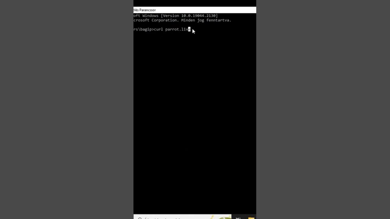 Parrot Dancing Cmd Command Prompt Youtube