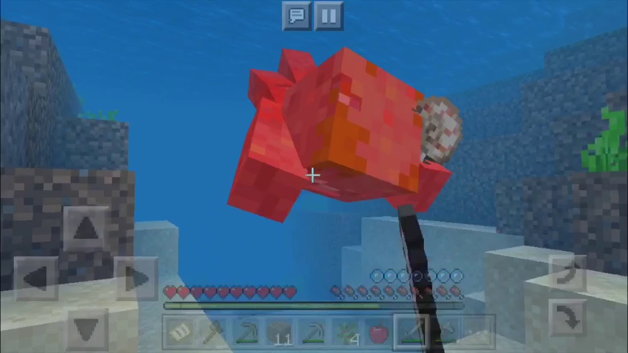 I got killed by a DOLPHIN in MINECRAFT....... - YouTube