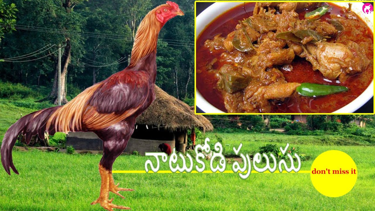 నాటు కోడి పులుసు నా స్టైల్ లో #Tasty Rooster Curry# - YouTube