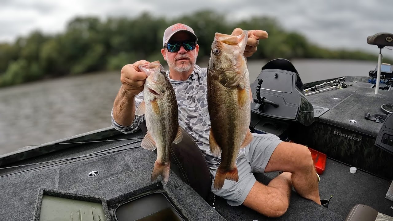 RAINY DAY ALTAMAHA RIVER BASS FISHING 🎣🔥🌧️ - YouTube