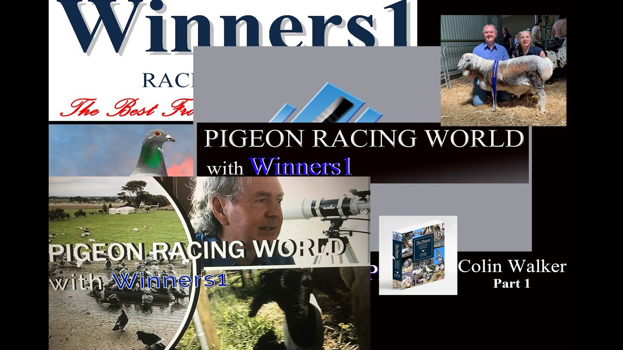 Renowned pigeon veterinarian part 1. from Pigeon Racing World with ...