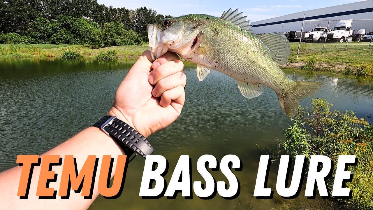 TEMU bass lures review - YouTube