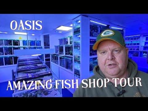 FISH SHOP TOUR | TROPICAL, MARINE and COLDWATER FISH - YouTube