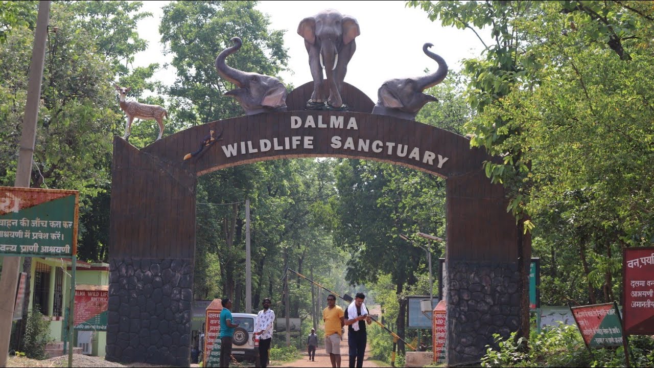 DALMA WILDLIFE SANCTUARY JAMSHEDPUR JHARKHAND - YouTube