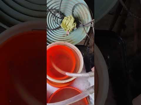 Julian Gold RP4 Shaker Table Gold Cleanup - YouTube