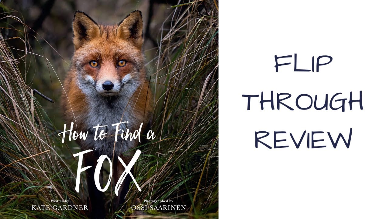 How to Find a Fox - YouTube