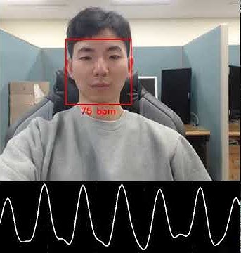 Remote PPG (Face) - SMU PR Lab - YouTube