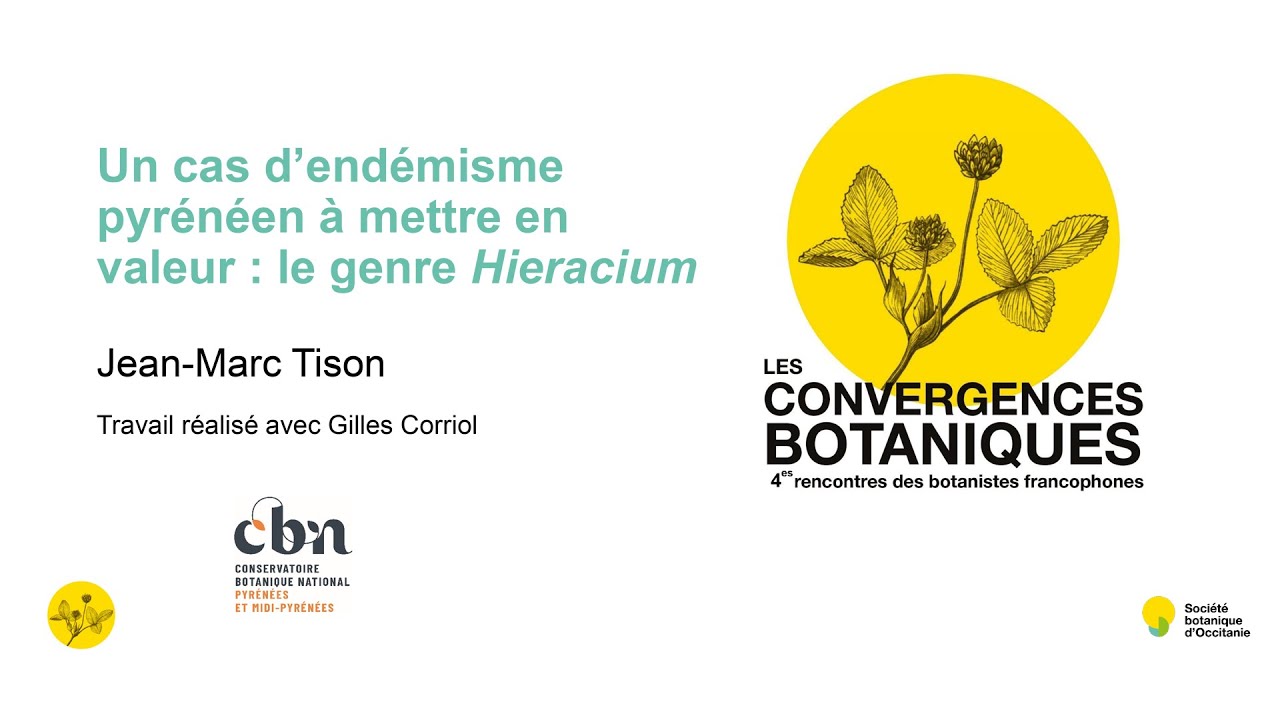 Convergences botaniques 2023 - 17. Le genre Hieracium dans les Pyrénées ...