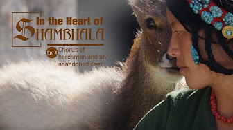 CGTN Documentary - YouTube