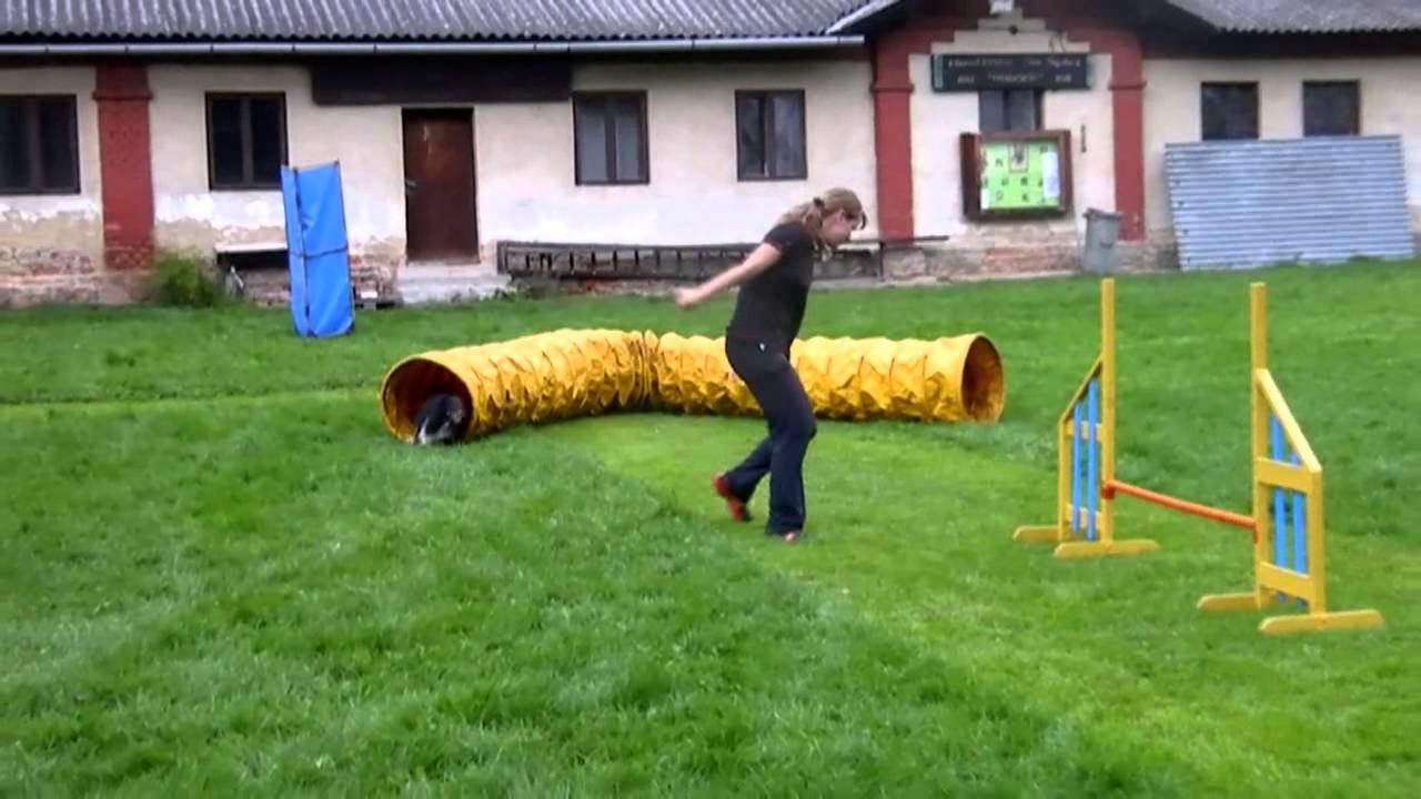 Serpentines – how to train techniques in agility 2 - YouTube