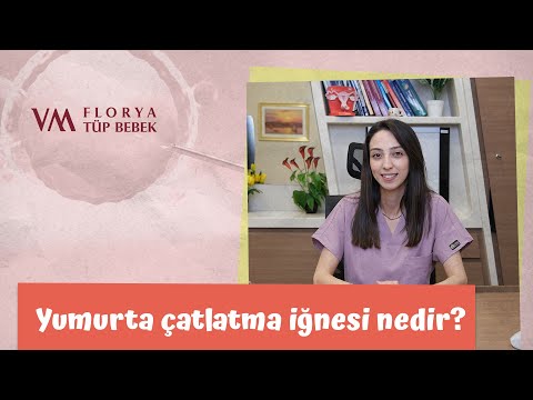 Yumurta çatlatma iğnesi nedir?