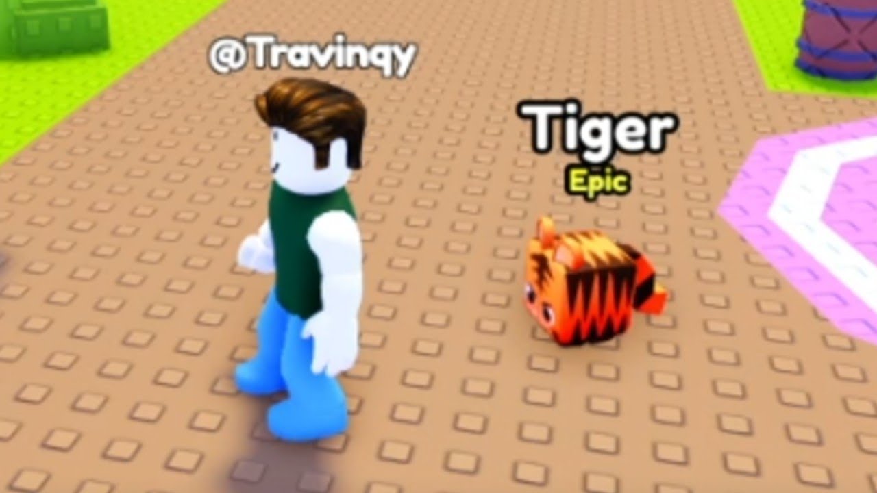 Find the Pets - Where to Find the Tiger (Roblox) - YouTube
