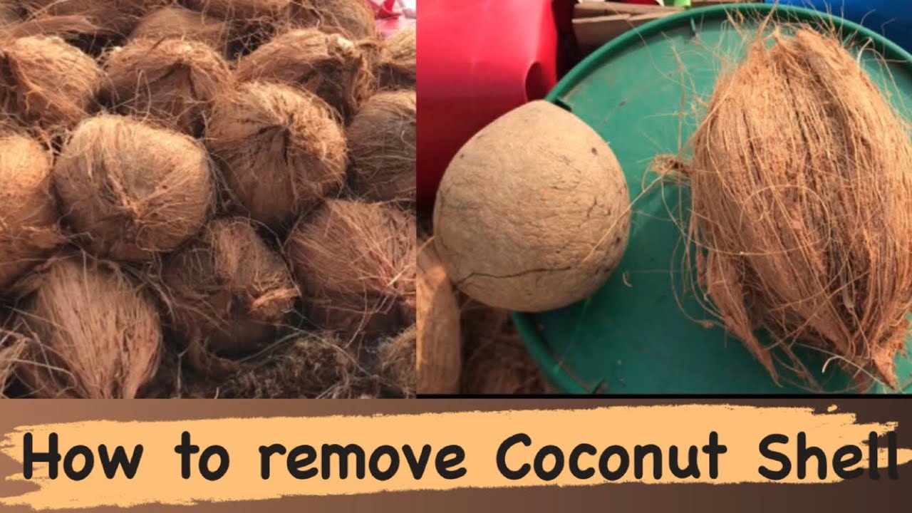 How to remove COCONUT SHELL | peel off coconut shell without breaking ...
