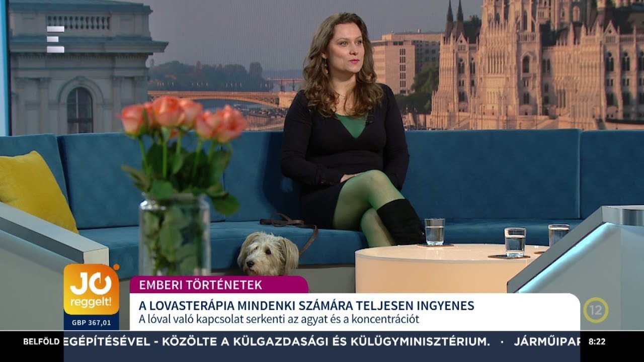 A lovasterápia mindenki számára ingyenes - Libor Laura - ECHO TV - YouTube